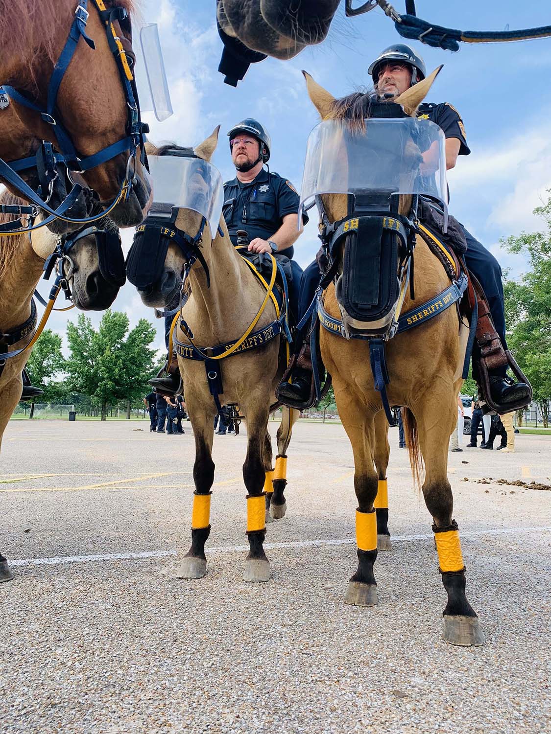 Mounted Resources – Preparing your mounted unit for every scenario